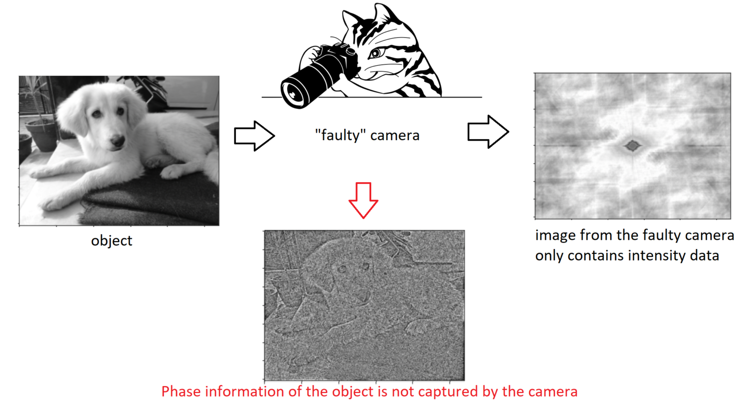 The “phase” problem of my life as a PhD student - Science Chatter Hamburg